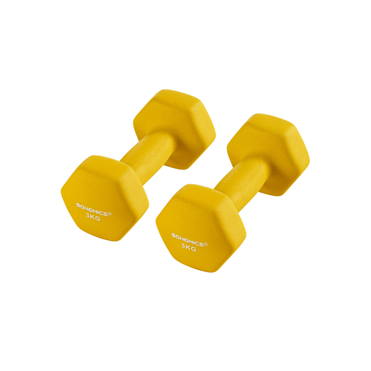 SONGMICS halters set van 2 2 x 3 kg | SONGMICS THUIS